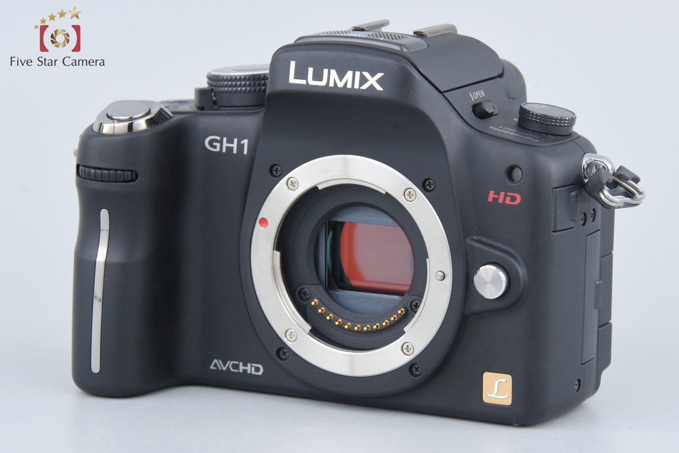 [Used] Panasonic LUMIX DMC-GH1 Comfort Black Mirrorless Interchangeabl ...